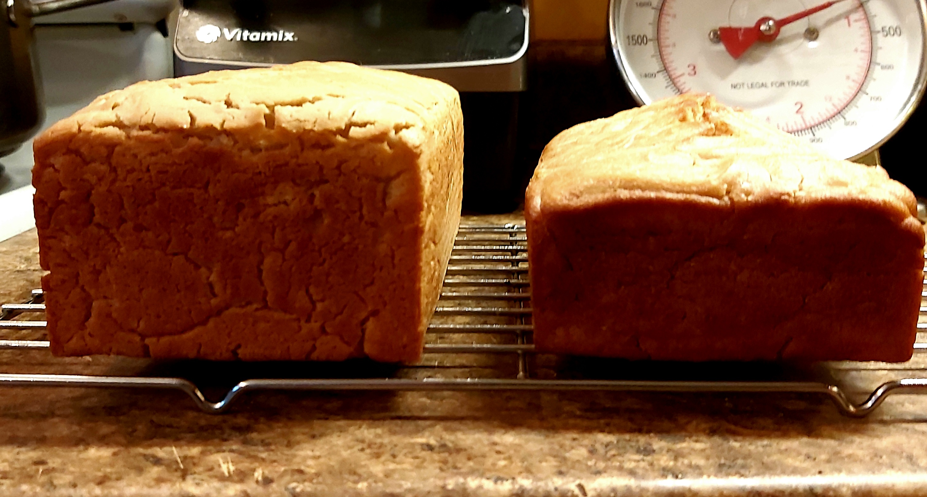A Healthier Version of Blender Bread and Kalamata- Olive-and-Sundried ...